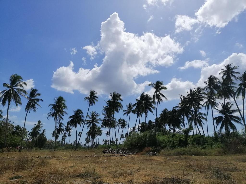 Teriang Village Inn, Kampung Padang Masirat (updated prices 2025)