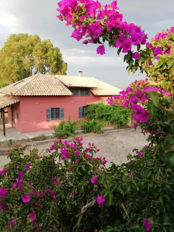 Efcaliptos cottage, Pylos (tarifs actualisés 2024)