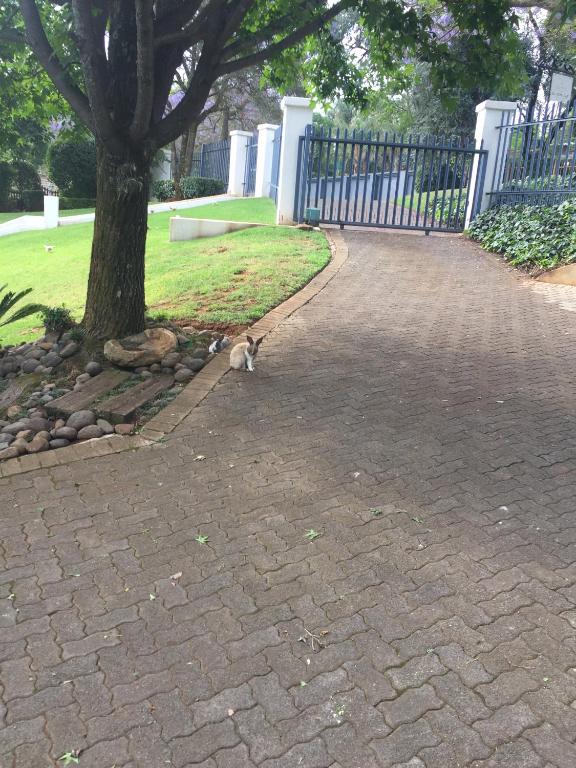 De Witte Loft, Newcastle (updated prices 2025)