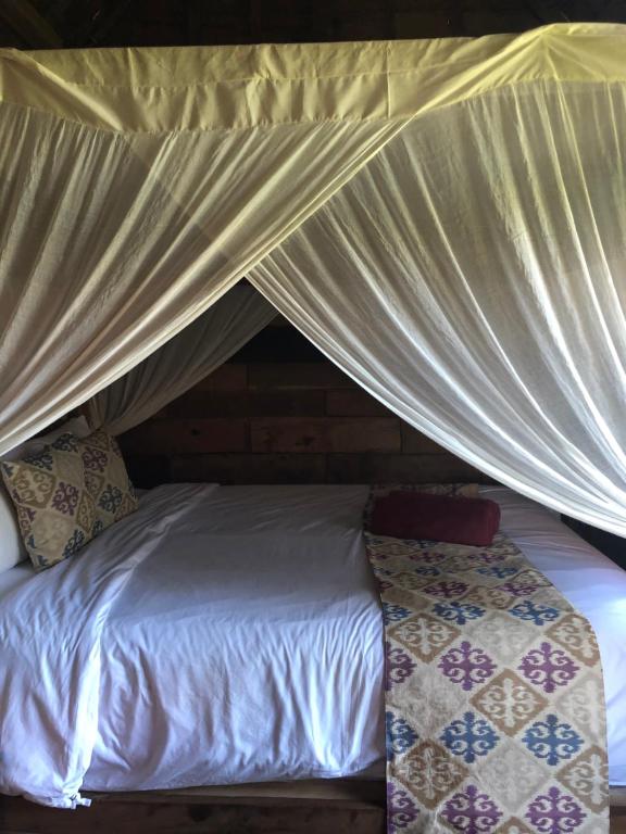 Melati Bali 2, Canggu (updated prices 2025)