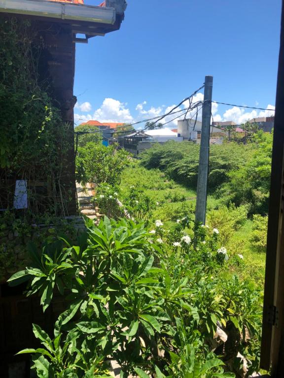 Melati Bali 2, Canggu (updated prices 2025)