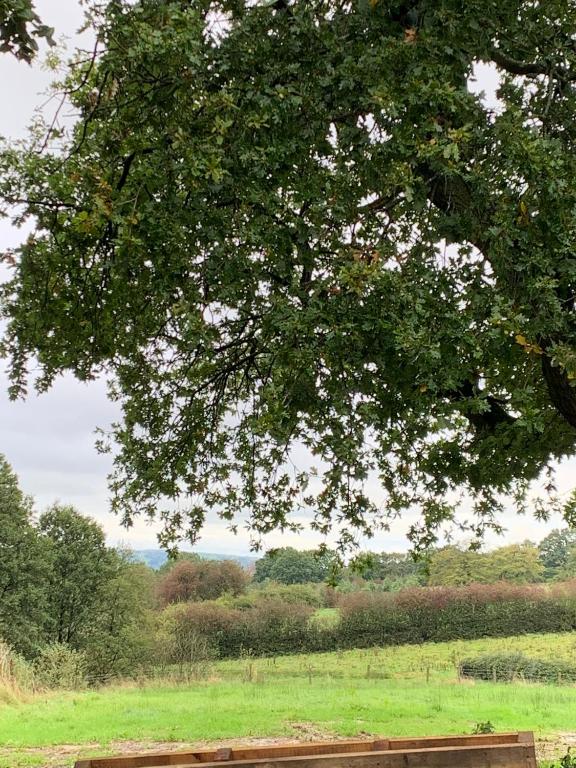 Glamping at Holly Grove Farm, Stoke on Trent (updated prices 2025)