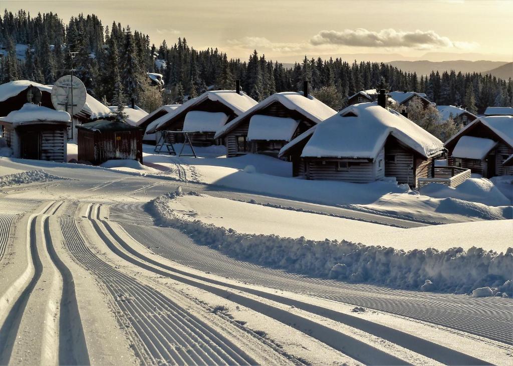 Lillehammer Fjellstue og Hytteutleie, Nordseter – Updated 2023 Prices