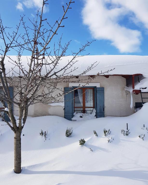 Helicon Muses Friendly Mountain B&B Guesthouse, Evangelístria (updated ...