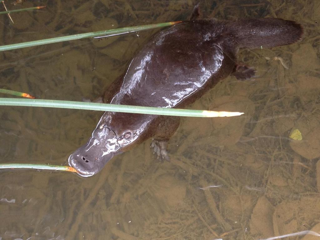 Silver Ridge Retreat, Sheffield (updated prices 2025)