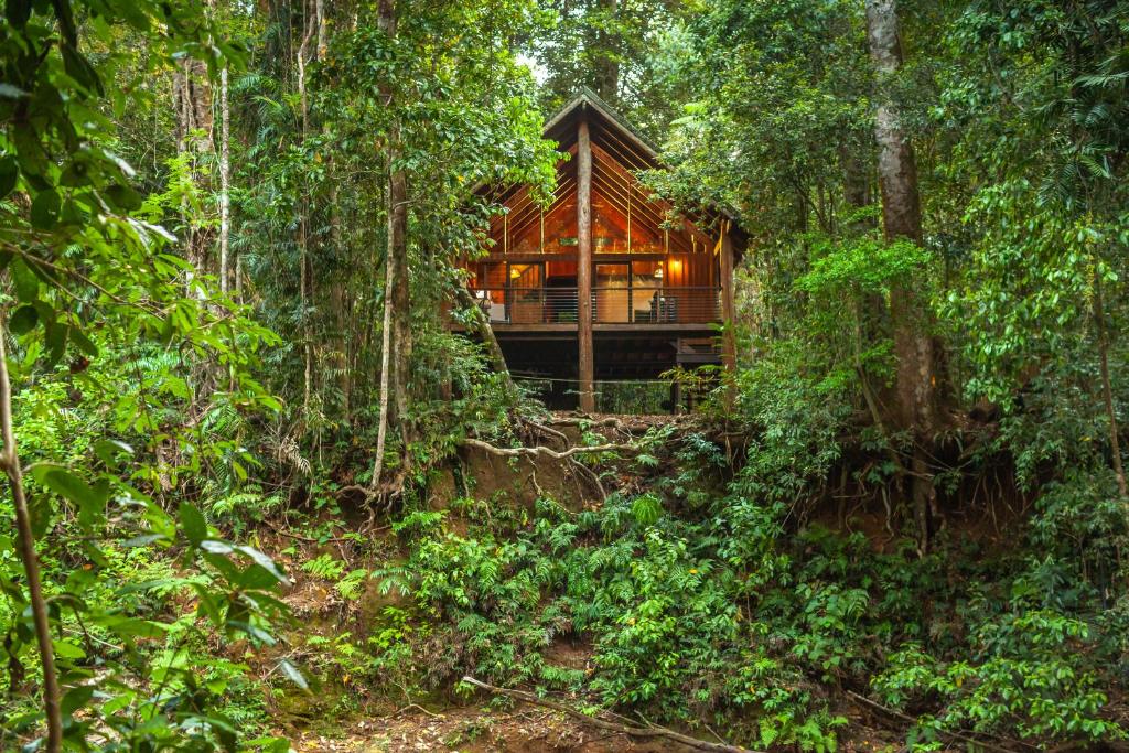 The Canopy Rainforest Treehouses & Wildlife Sanctuary, Tarzali (updated ...