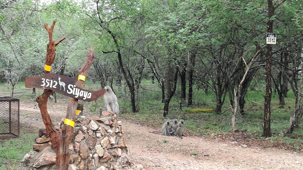 Siyaya - Marloth Park