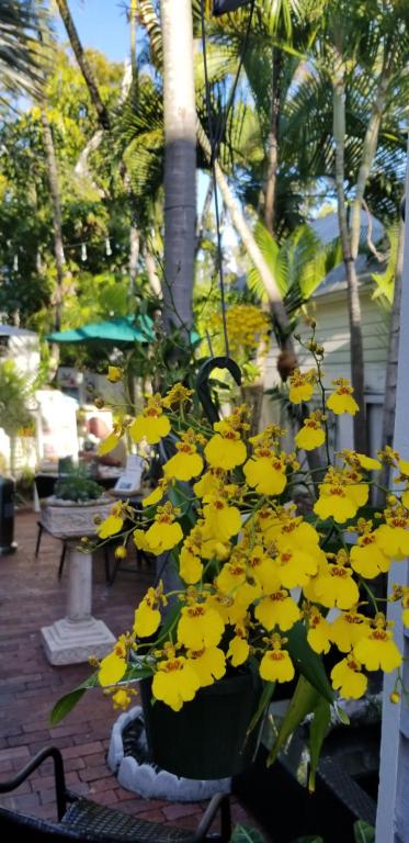 The Artist House, Key West (updated prices 2025)