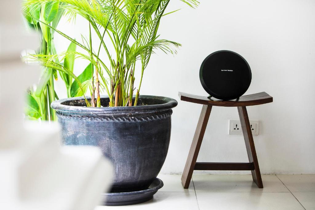 Villa Atma, Seminyak (updated prices 2025)