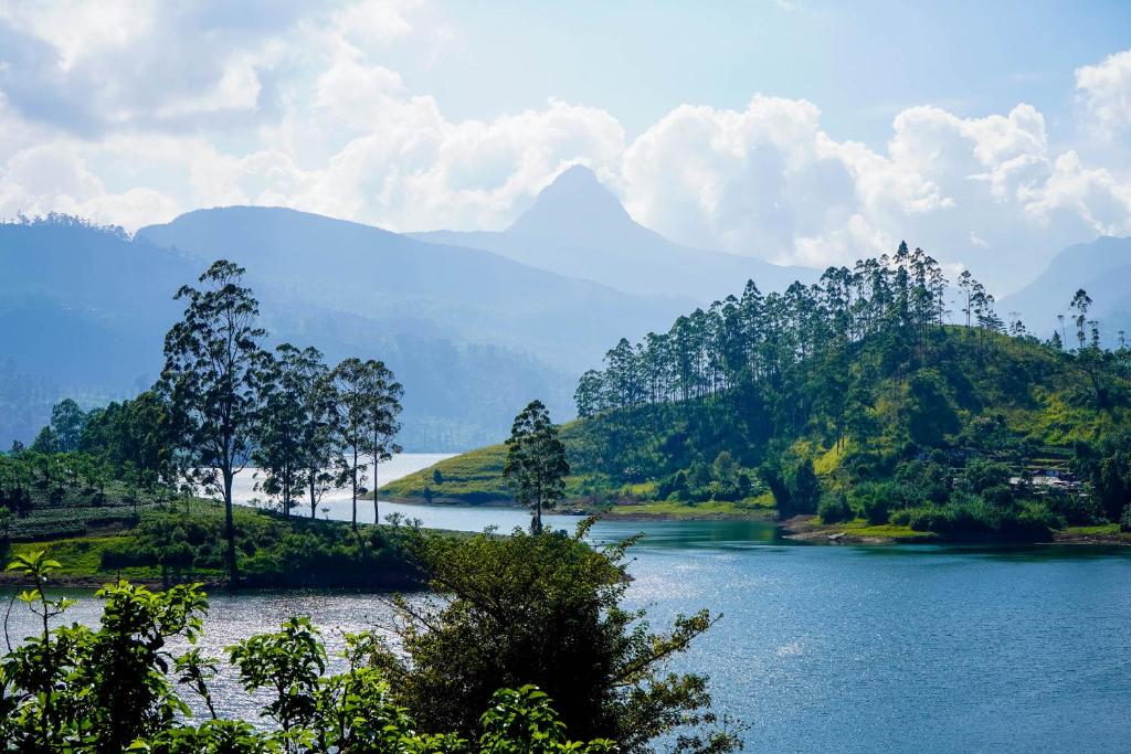 Pekoe Lodge, Maskeliya (updated prices 2024)