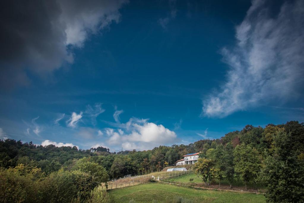Agriturismo "La Collina" - 15km dal centro di Torino, Baldissero ...