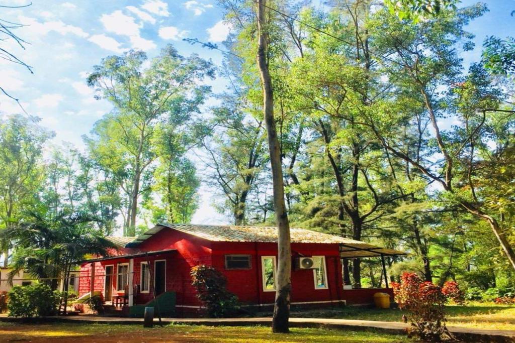 The Jungle Resort Amba, Chandoli (updated prices 2025)