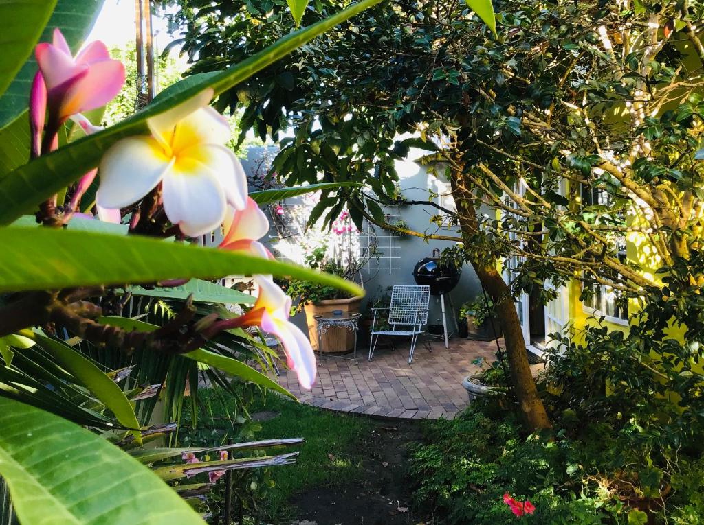 Funky cottage, Hermanus (updated prices 2026)