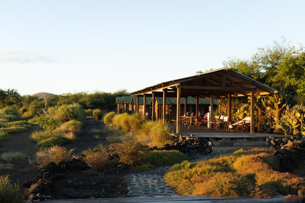 Lava Lodge, Floreana (updated prices 2025)