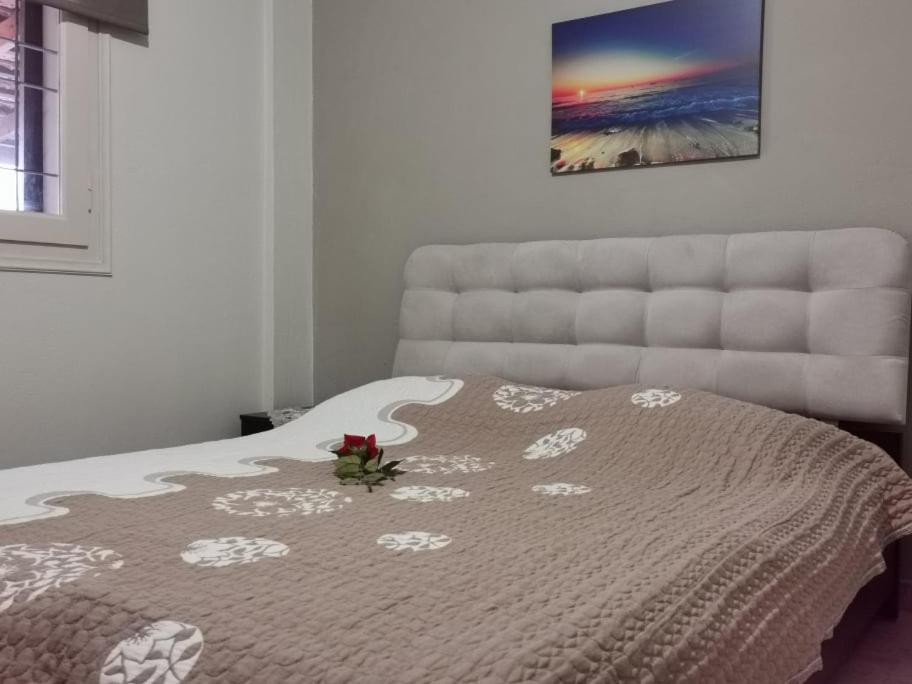 Marathi Blue, Marathi (updated prices 2024)