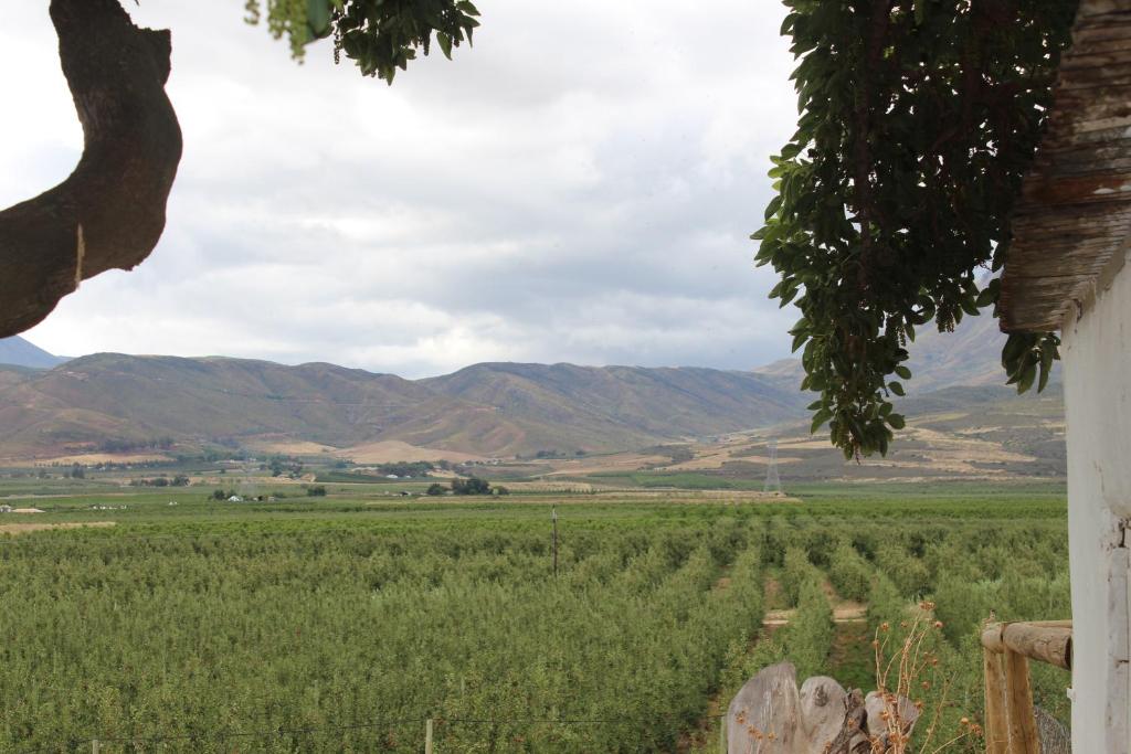 Rooikraal Farm Guesthouse and dam, Prince Alfred Hamlet (updated prices ...