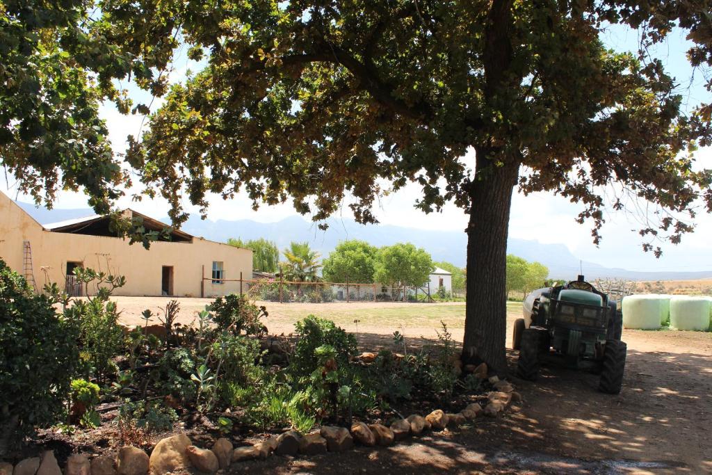 Rooikraal Farm Guesthouse and dam, Prince Alfred Hamlet (updated prices ...