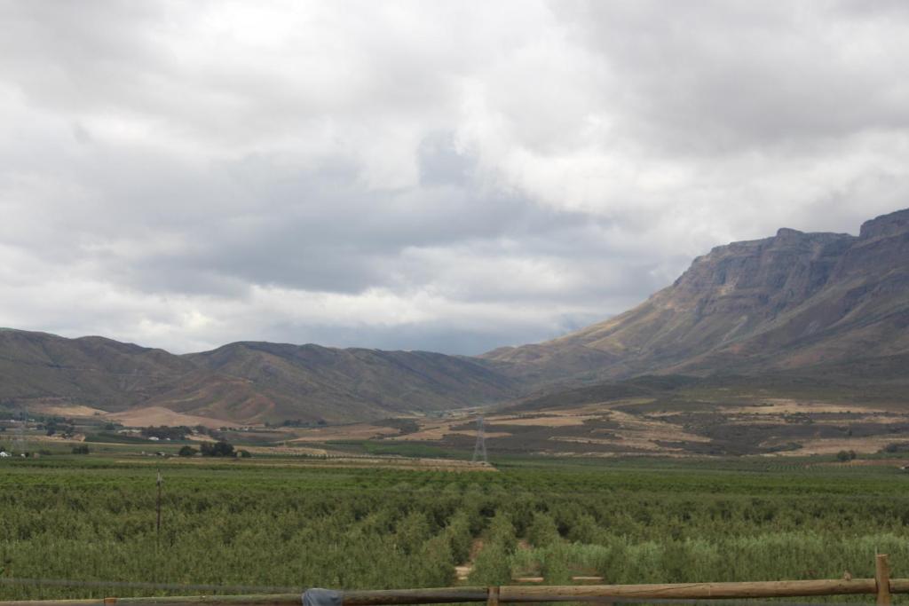 Rooikraal Farm Guesthouse and dam, Prince Alfred Hamlet (updated prices ...