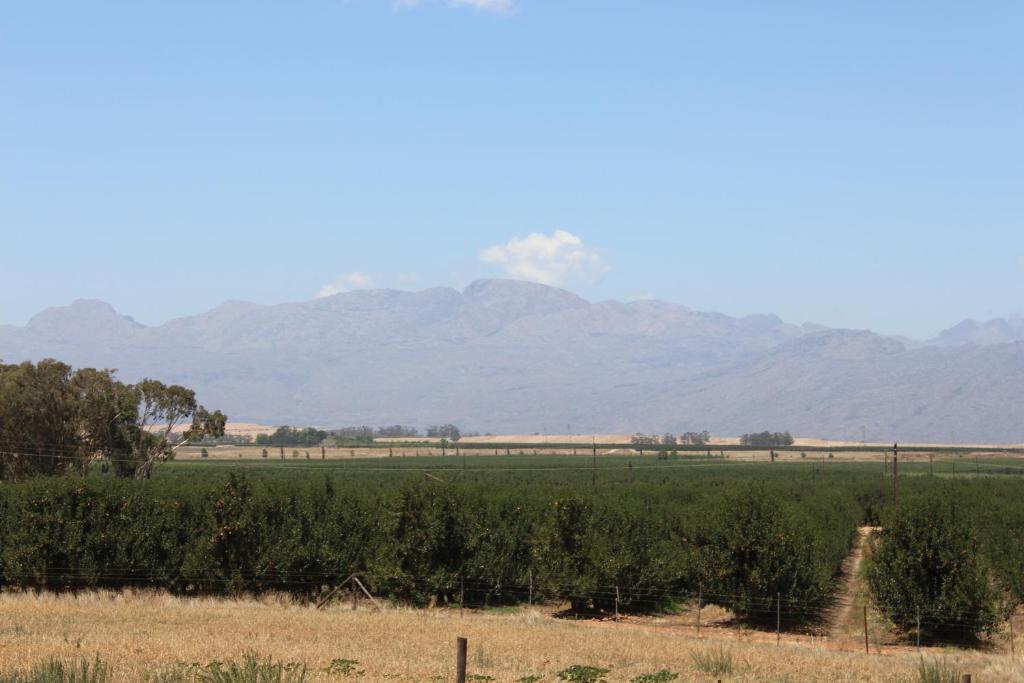 Rooikraal Farm Guesthouse and dam, Prince Alfred Hamlet (updated prices ...