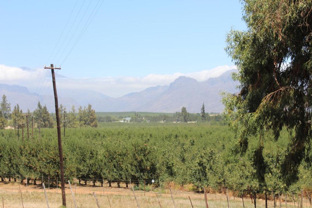 Rooikraal Farm Guesthouse and dam, Prince Alfred Hamlet (updated prices ...