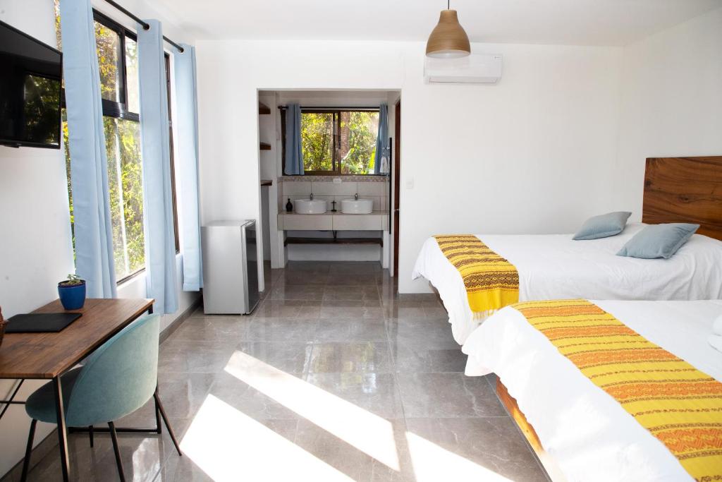 Jungle Lodge at Wild Sun Rescue Center, Cabuya (updated prices 2025)