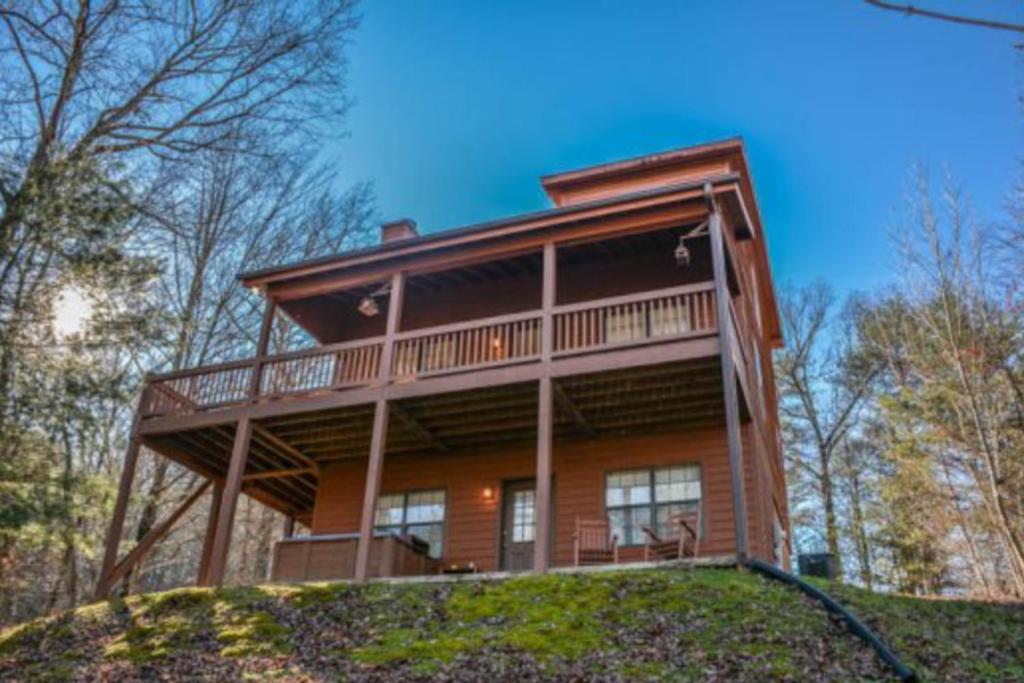 Sugar Maple, Blue Ridge (updated prices 2025)