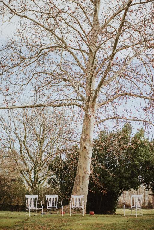 Cuna House, Armentera (updated prices 2025)