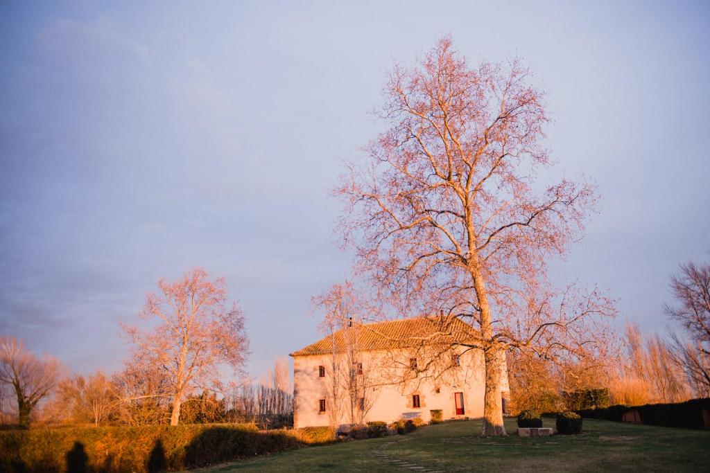 Cuna House, Armentera (updated prices 2025)