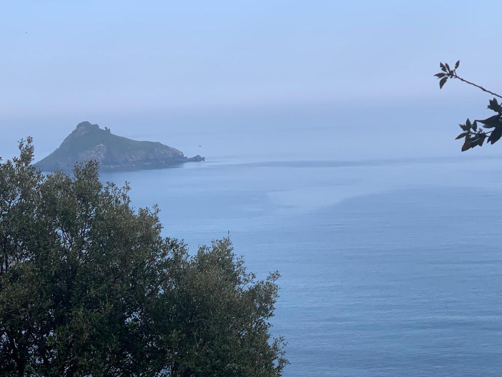 Channel View Apartments in Torquay