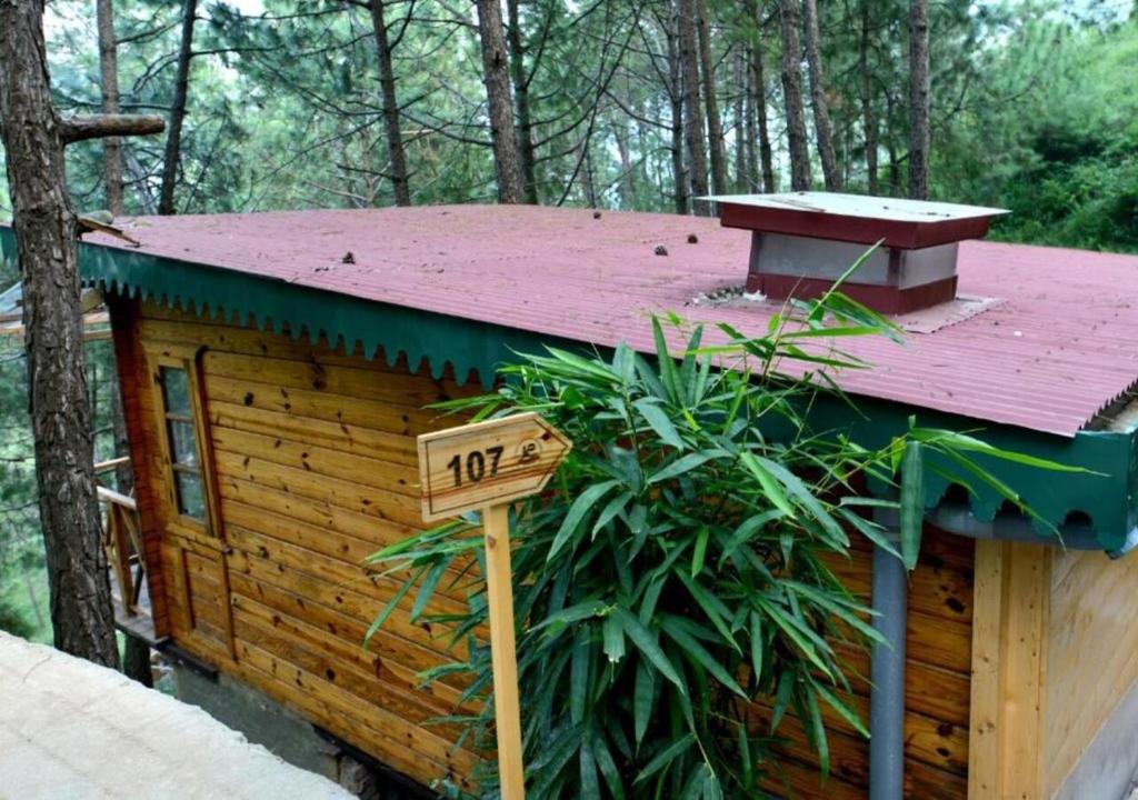 Kasauli Hills Resort, Kasauli (updated prices 2025)