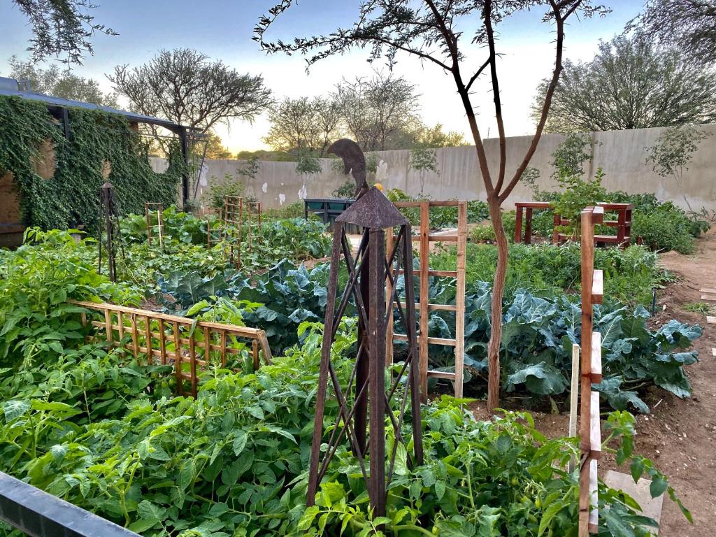 Droombos, Windhoek (updated prices 2025)