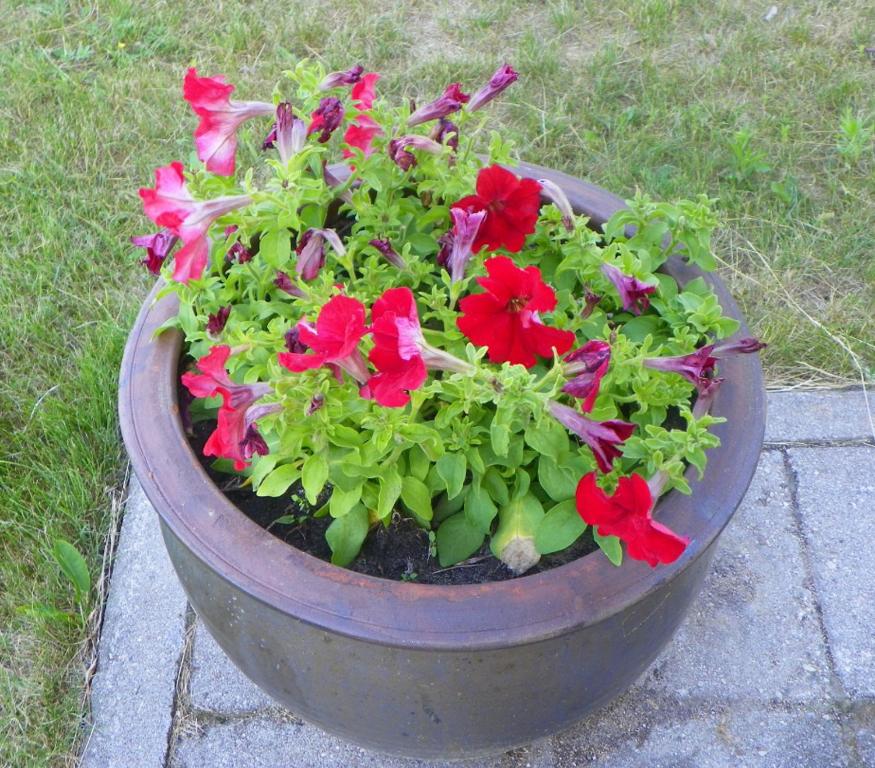 Keliakiemis, Vievis (updated prices 2026)