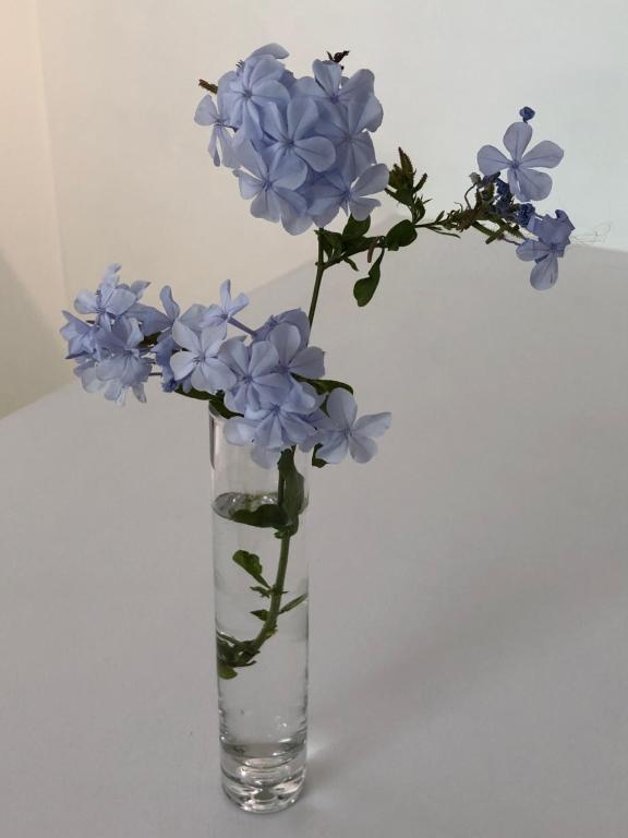 Guest House at 118 by PWM Architects, Johannesburg (updated prices 2025)