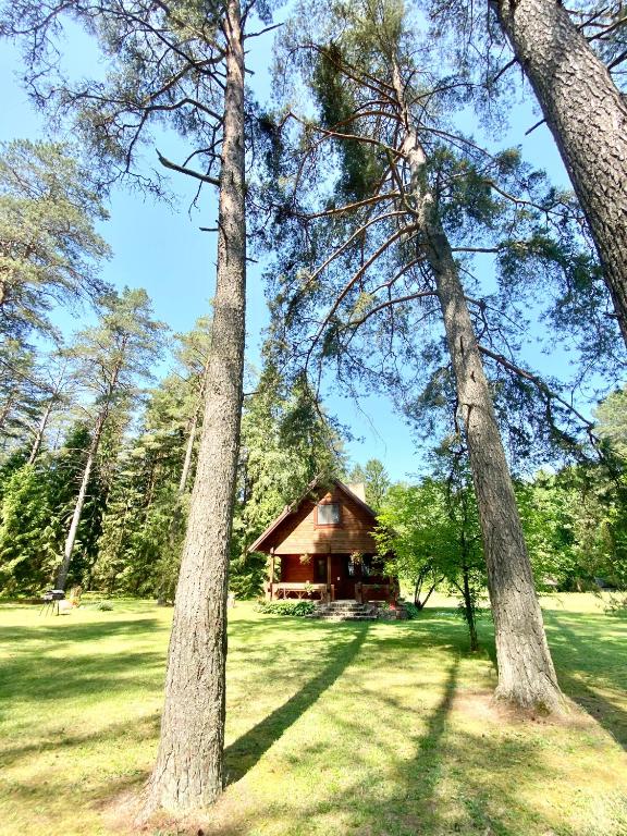 Rojaus Slenis, Druskininkai (updated prices 2025)