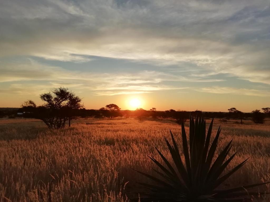 Jansen Kalahari Guest Farm, Hoachanas – Updated 2022 Prices