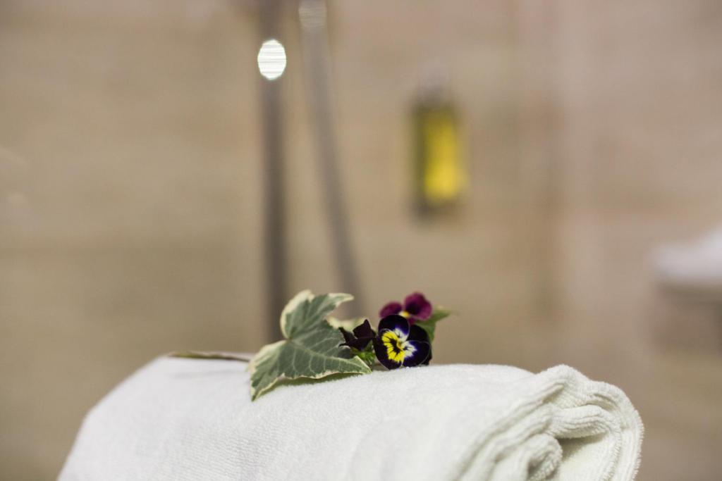 Hunter Prince Castle Hotel, Turda (aktualisierte Preise für 2025)