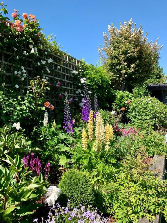 Springwells House, Steyning (updated prices 2025)