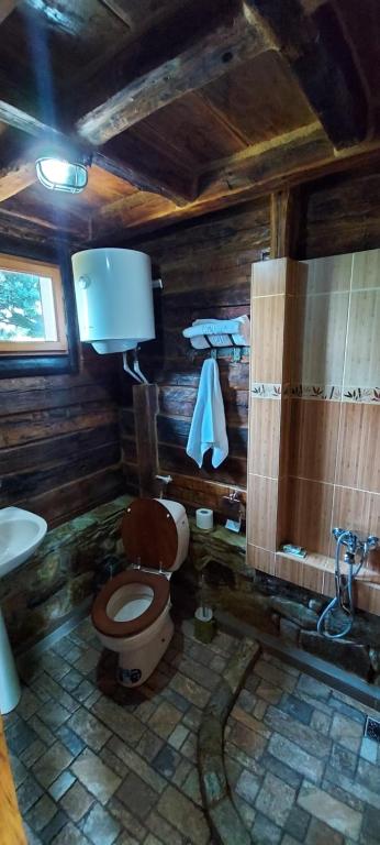 Satul Traditional in Runcu