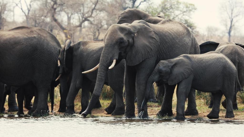 Floreat Riverside Lodge and Spa, Sabie (updated prices 2025)