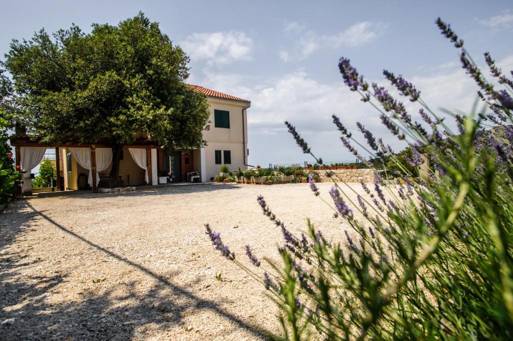 Andreja Apartments - Primošten