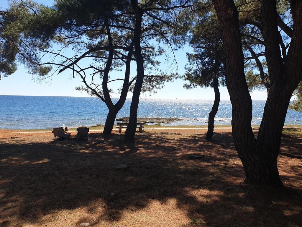 Family Bungalow Pineta, Novigrad Istria – Prețuri actualizate 2022