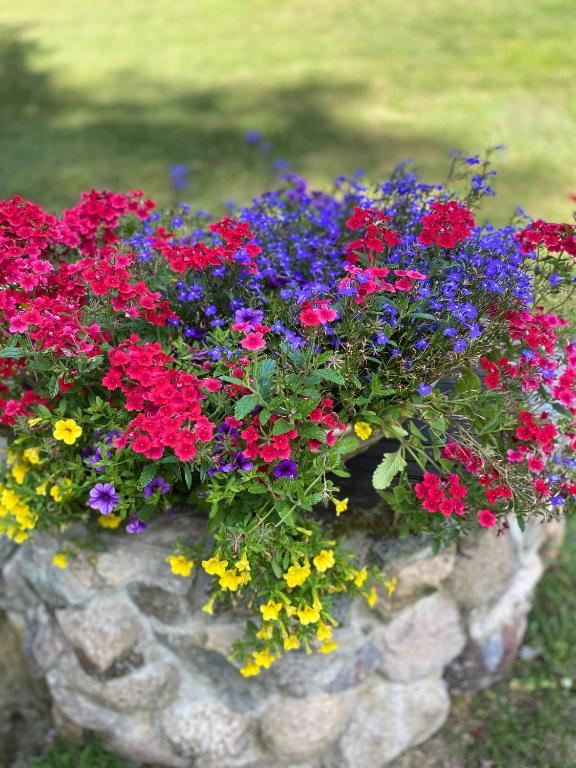 Rojaus Slenis, Druskininkai (updated prices 2025)