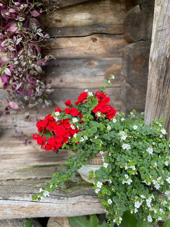 Rojaus Slenis, Druskininkai (updated prices 2025)