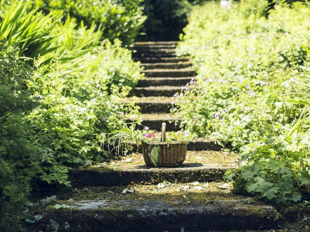 Clonalis House - Guesthouse, Castlerea (updated prices 2025)