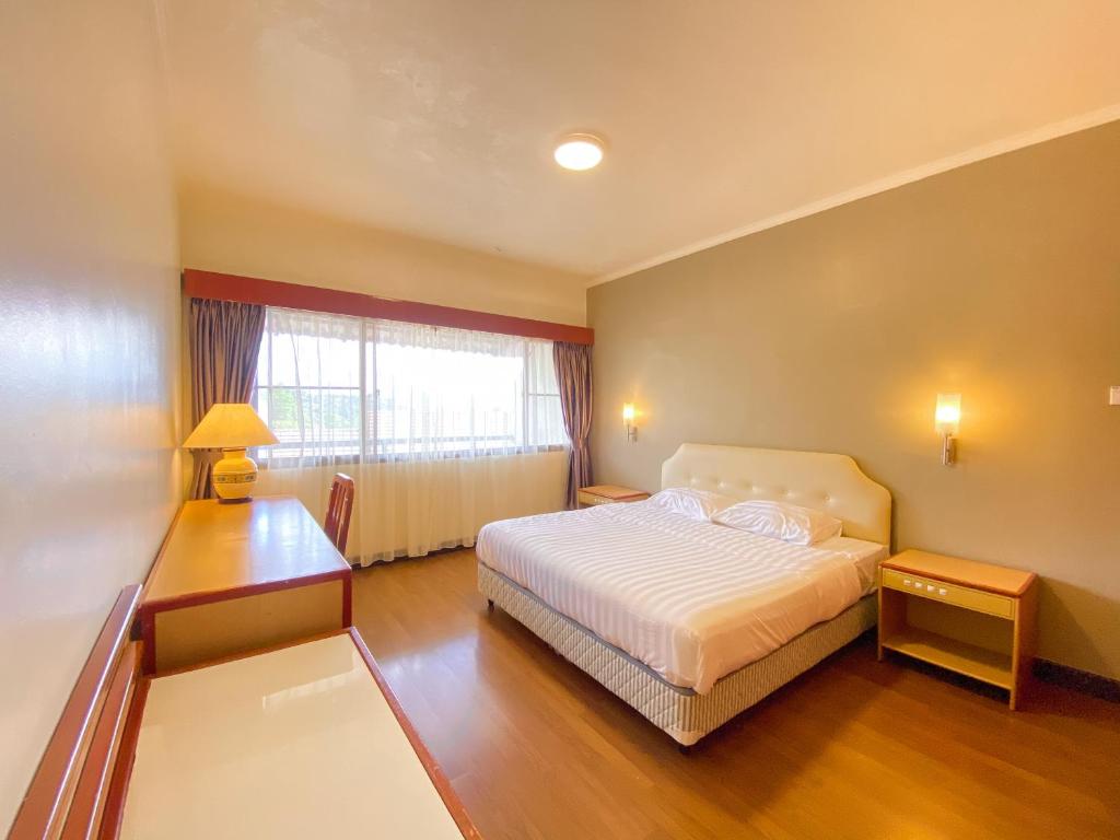 Upgraded - Spacious Cozy Apartment Hotel - ブリンチャン