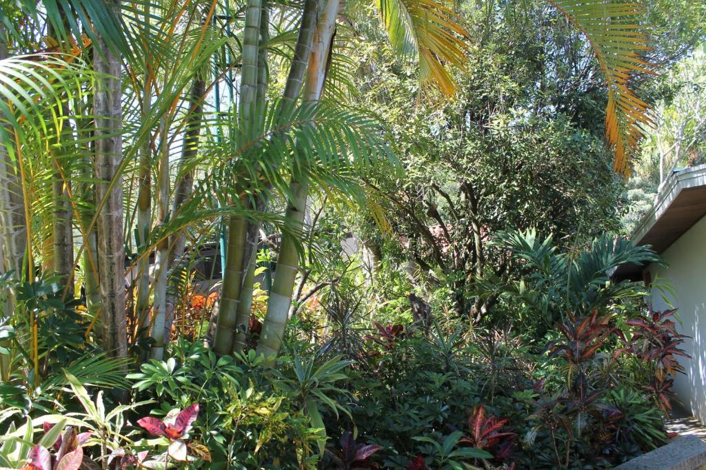 Costa Verde Inn, San José (updated prices 2025)
