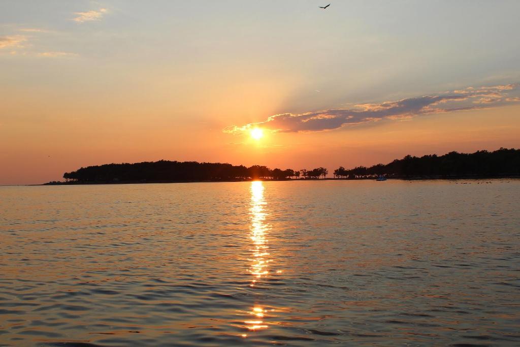 Apartment Dekovic, Poreč (updated prices 2026)