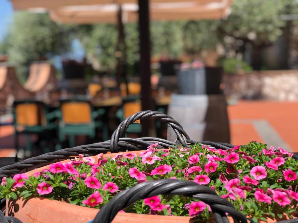 Belsito, Serrone (updated prices 2025)