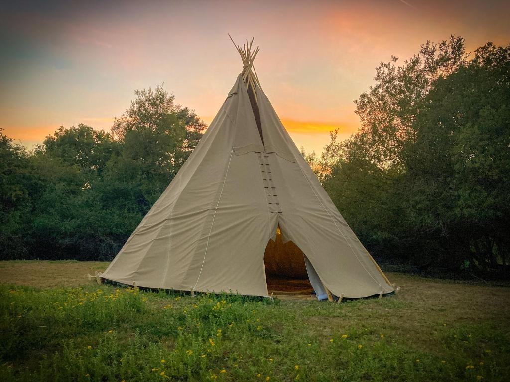 Campeggio di lusso Alpaca My Tipi - Glamping Tipi's for Families ...