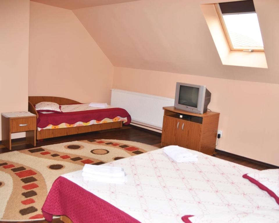 Pensiunea Teo in Bilbor